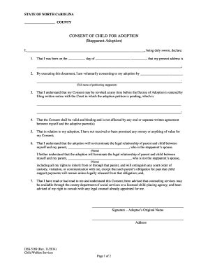 NC DSS Fill And Sign Printable Template Online
