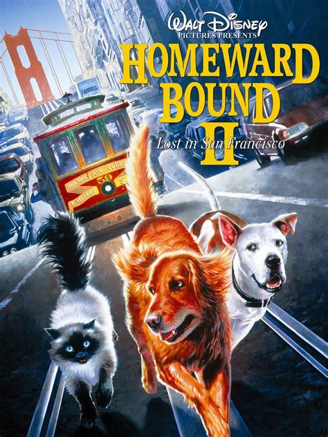 Homeward Bound Ii Lost In San Francisco 1996 Rotten Tomatoes