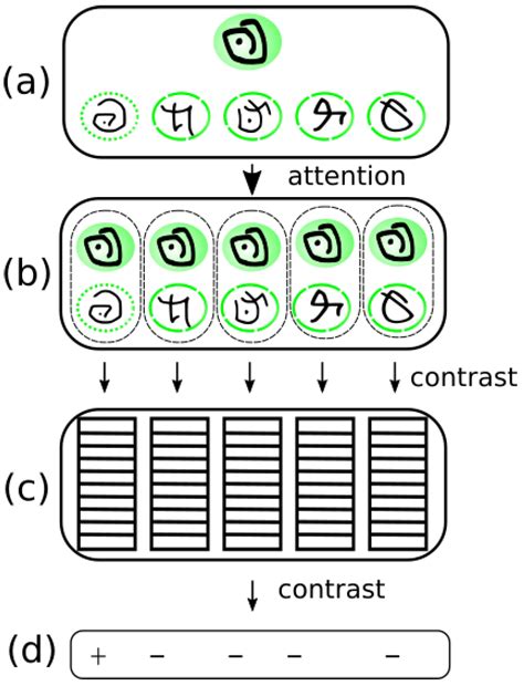 Local Contrast Learning For One Shot Learning