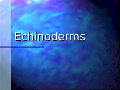 Ppt Echinoderms Spiny Skin Spiny Skin Radial Symmetry Radial