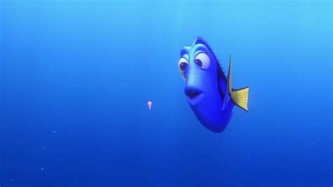 Картинки из мультфильма в поисках немо