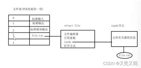 【linux】文件描述符and先打开open文件再forkand先fork再openfork文件描述符 Csdn博客