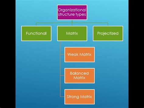 Decan Satisface Scump Types Of Organizational Structure Pictor