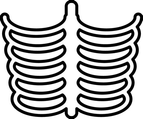 Rib Cage Flat Icon In Thin Line Art 25289564 Vector Art At Vecteezy