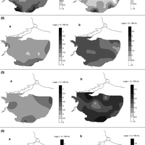 Spatial Distribution Of Total Coliform Tc Concentrations In The