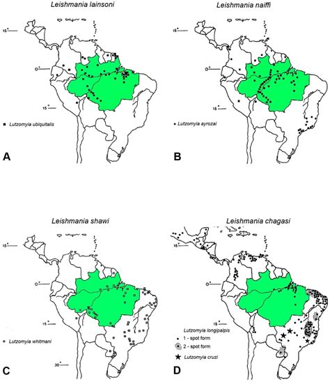 Speciation In The Leishmania Guyanensis Vector Lutzomyia Umbratilis