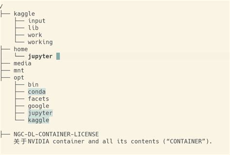 Kaggle提交代码算分 知乎
