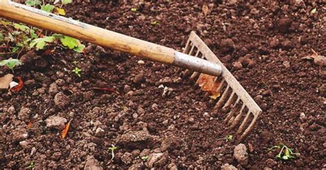 Types Of Soil And Which Plants Grow Best On Them