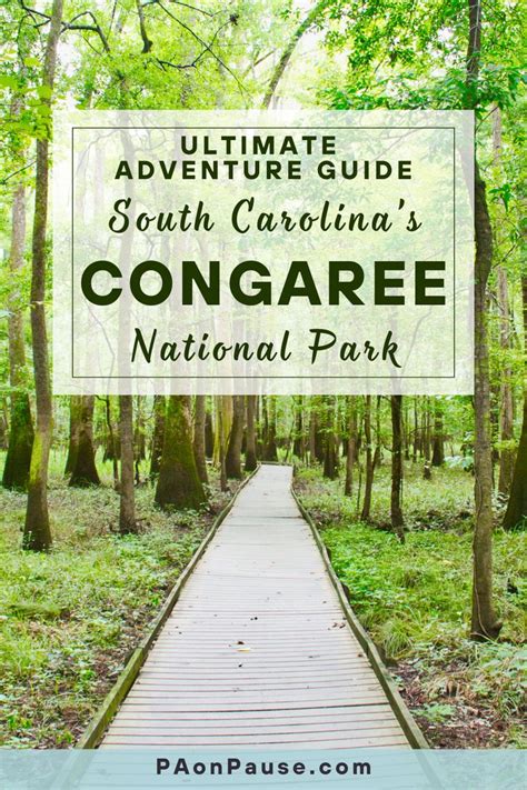 Ultimate Adventure Guide For South Carolinas Congaree National Park