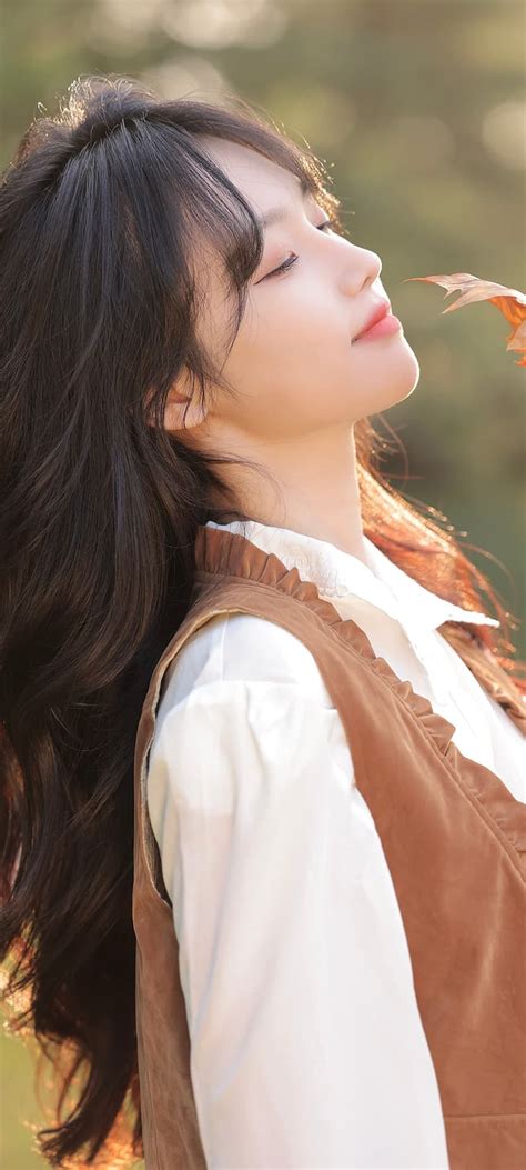 송시란 Hd 바탕 화면 배경 화면 무료 다운로드 Wallpaperbetter