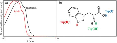 Photoelectron Spectroscopy Of The Deprotonated Tryptophan Anion The