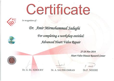 درباره ما دکترامیر میرمحمد صادقی