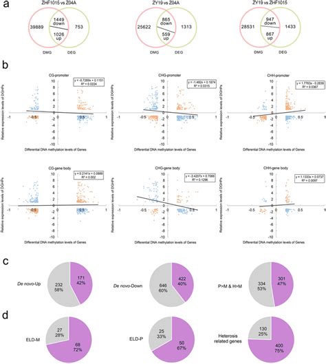 relationship of dmr genes and their relative expression levels between