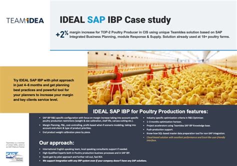 Teamidea On Linkedin Teamidea Sap Sapibp Sapcommunity Businessdevelopment Business…