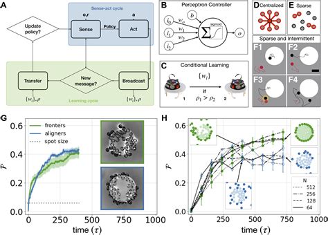 Morphological Computation And Decentralized Learning In A Swarm Of Sterically Interacting Robots