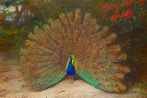 Peacock Tail Painting At Explore Collection Of
