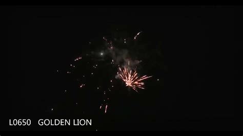 5 L0650 Golden Lion Youtube 5 L0650 Golden Lion Youtube