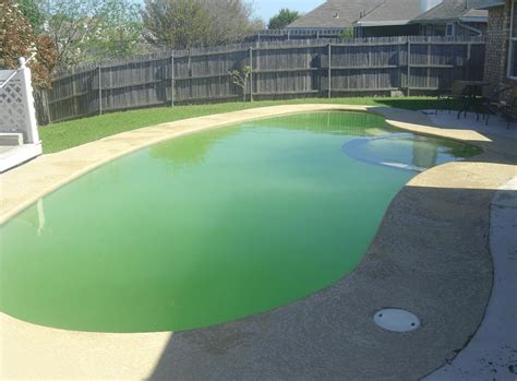 Cool Is It Safe To Swim In An Algae Pool Ideas