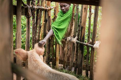 Vi Agroforestry Vi Agroforestry Added A New Photo