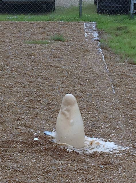 EXPLOSION SCIENCE Summer Camp Day 3 SSSTeaching