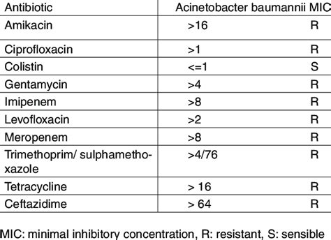 Antibiotic Susceptibility Of Acinetobacter Baumannii Isolate Download Scientific Diagram