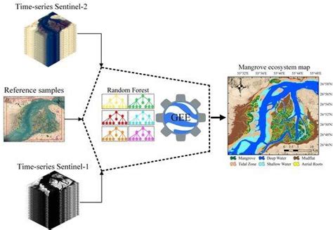 Remote Sensing Mdpi On Linkedin Mangrove Ecosystem Mapping Using