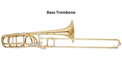 Different Types Of Trombones From Top To Unpopular