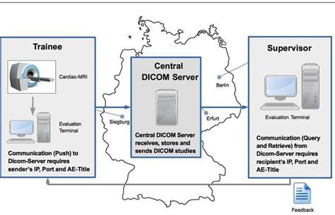 Illustration Of The Cmr Network Architecture Download Scientific Diagram
