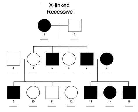 Entity Framework Wpf Hierarchical Treeview Combined Binding Of A Selfrefering Hierarchical