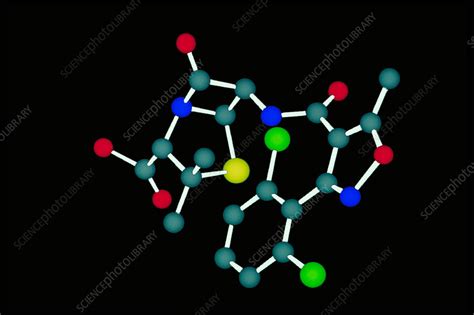 Synthetic Penicillin Examples At Octavio Witherspoon Blog