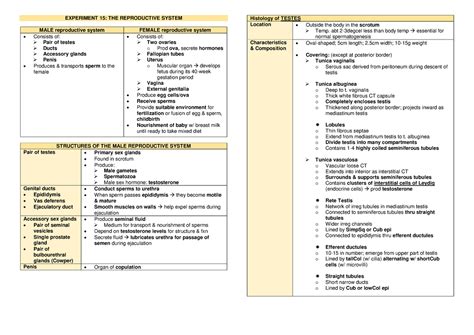 Histo LAB Reproductive System Medical Laboratory Science Studocu
