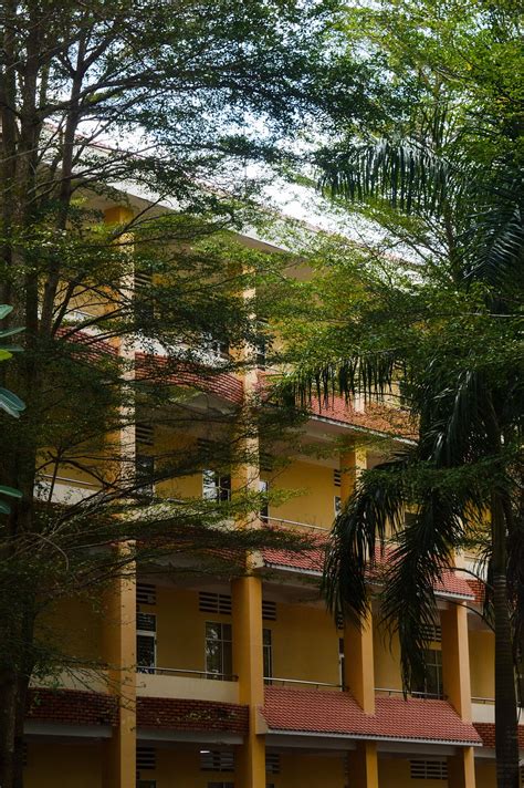 Tree School Scenery Free Photo On Pixabay Pixabay