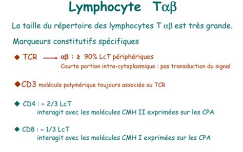 Origine Et Différenciation Des Lymphocytes T Et Nk Activation Et