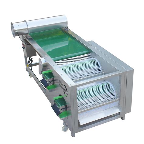 Blueberry Sorting Machine Vegetable Washing Machine