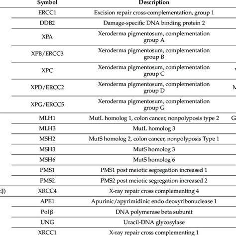 Cisplatin Induced Dna Adducts A Structure Formulas Of Cisplatin And Download Scientific