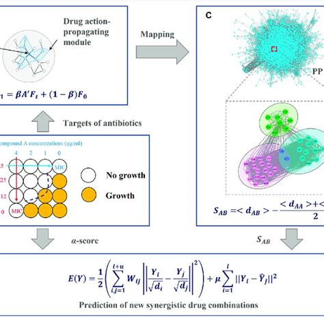 Overview Of The Network Based Method For Antibiotic Combinations