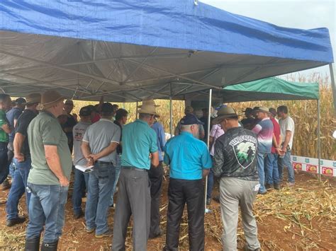 Dia De Campo Em Arroio Trinta Propriedade Jorge Borga Coopervil