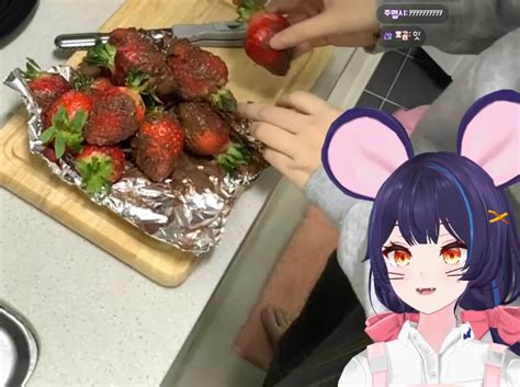 초코를 많이 애낀 초코딸기  치지직 에펨코리아