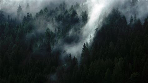 Moody Nature 4k Wallpapers Wallpaper Cave