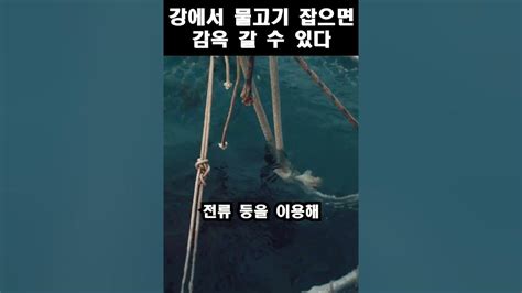 강이나 하천에서 그물로 물고기 잡으면 감옥가요 Youtube