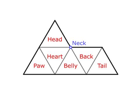 a shape called a sphinx could explain handedness in biology