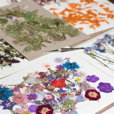 Art Workshop Pressed Flowers The River Shop