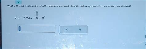 Solved What Is The Net Total Number Of ATP Molecules Chegg Com
