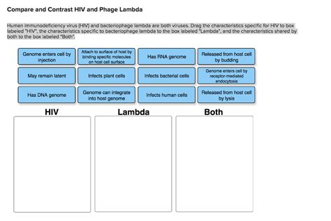 Solved Compare And Contrast Hiv And Phage Lambda Human