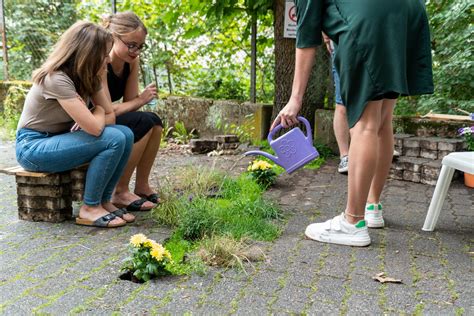 Siegen Architecture School Assemble