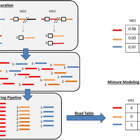 A Schematic Diagram Of The Workflow For Illustration Purposes Three Download Scientific