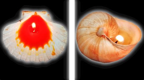 Diybougies Coquilles Saint Jacquesescargot Youtube