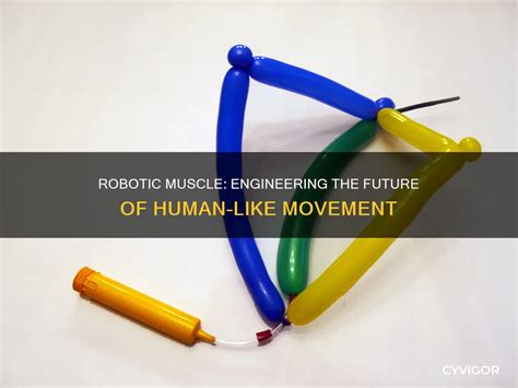 Robotic Muscle Engineering The Future Of Human Like Movement Cyvigor