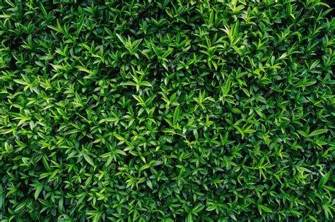 Premium Photo Green Grass Wall Texture For Backdrop Design And Eco