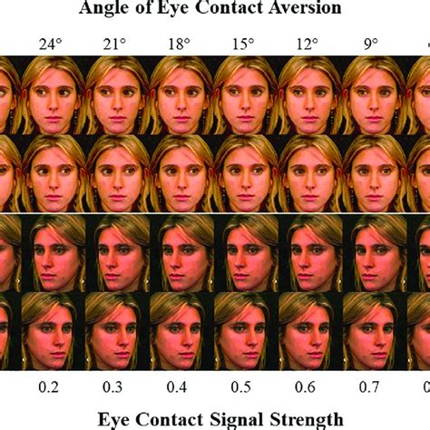 Sample Stimuli From Eye Contact Detection Task Example Of Stimuli For Download Scientific